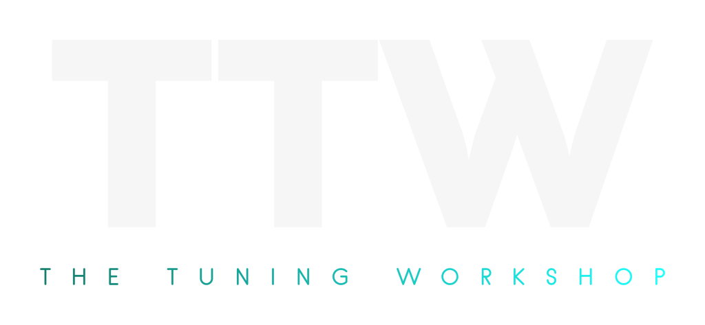 Simos 18: Mastering ECU Tuning - TTW